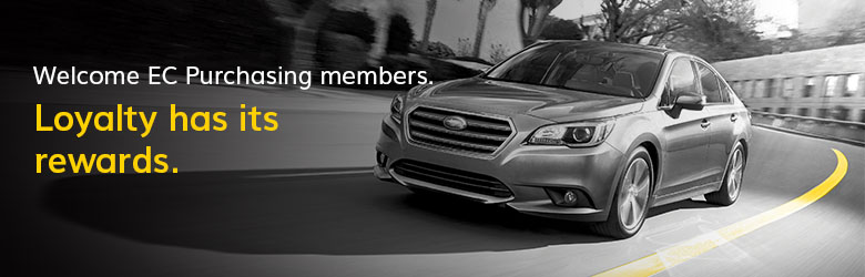 EC Purchasing Rental Car Travelers | Partners | Hertz